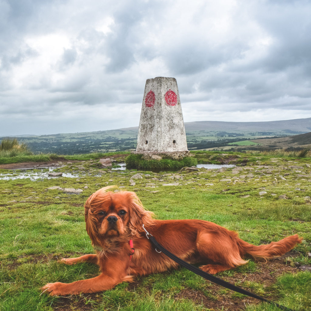 Nicky Nook (3 miles) – Lancashire Lad