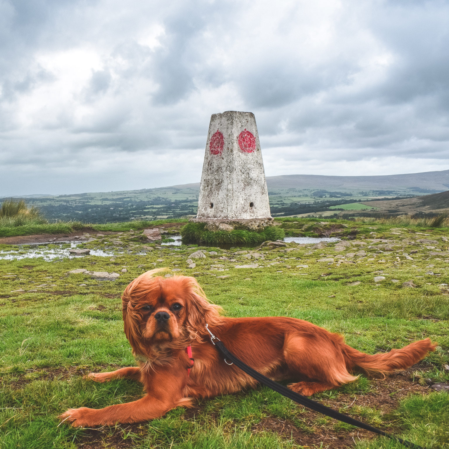 Nicky Nook (3 miles) – Lancashire Lad