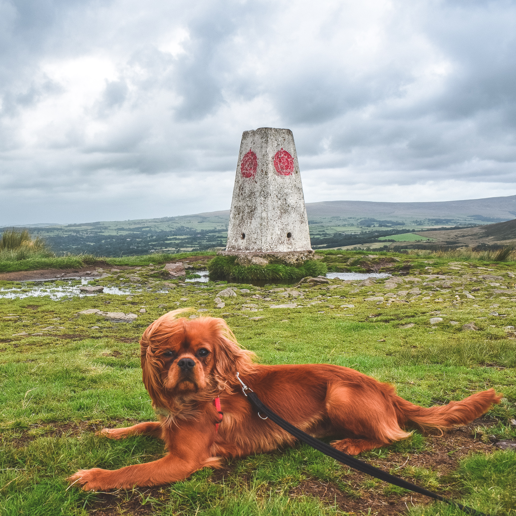 Nicky Nook (3 miles) – Lancashire Lad