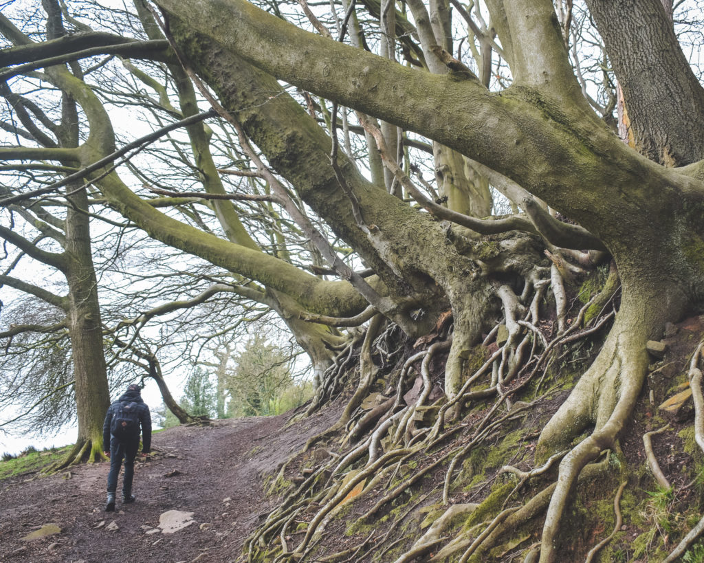 Nicky Nook (3 miles) – Lancashire Lad