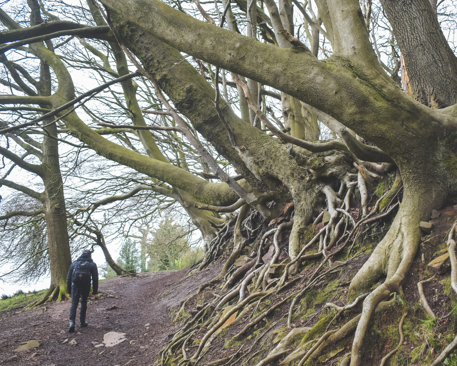 Nicky Nook (3 miles) – Lancashire Lad