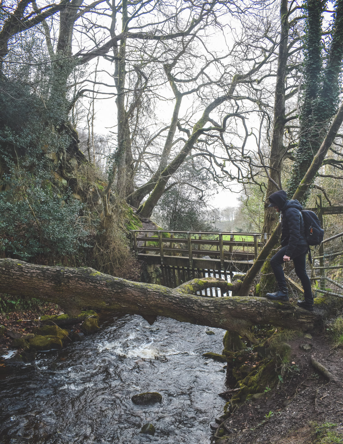 Nicky Nook (3 miles) – Lancashire Lad