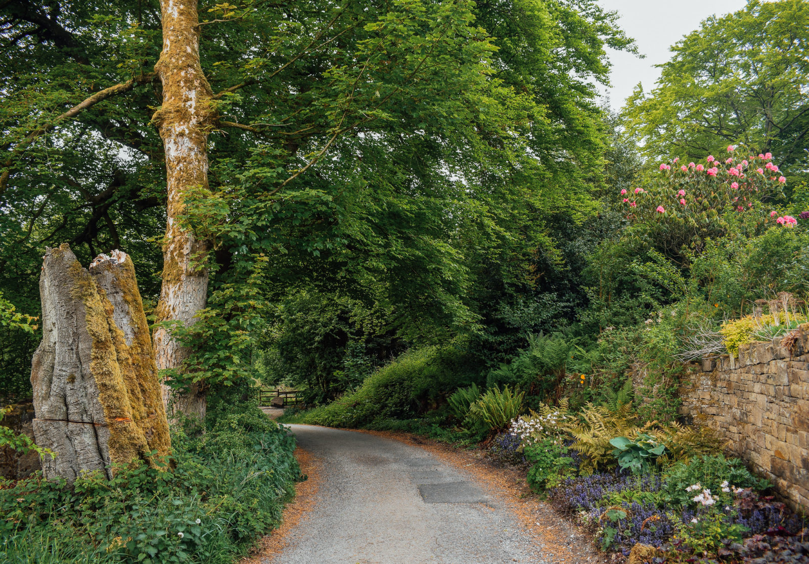 Great Hill via Brinscall (6 miles) – Lancashire Lad