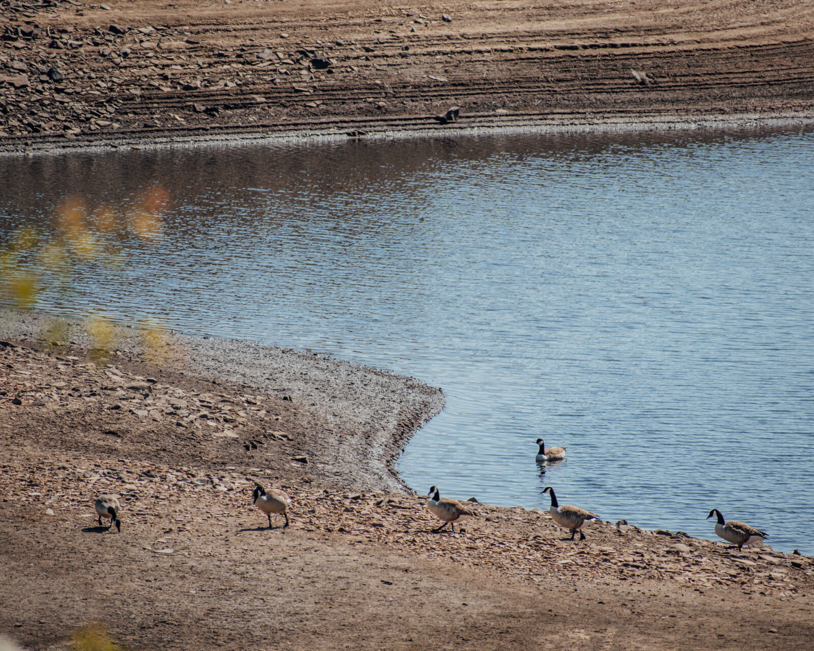 Calf Hey Reservoir (5 miles) – Lancashire Lad