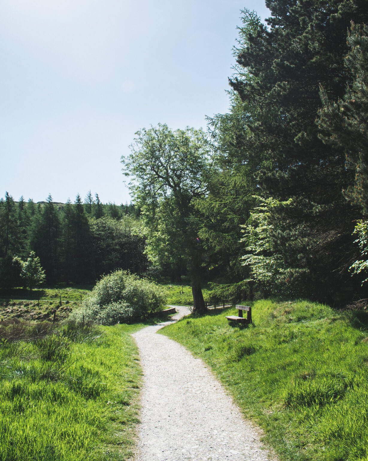 Calf Hey Reservoir (5 miles) – Lancashire Lad