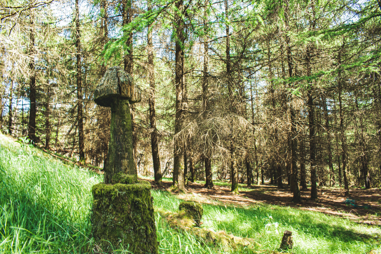 Calf Hey Reservoir (5 miles) – Lancashire Lad