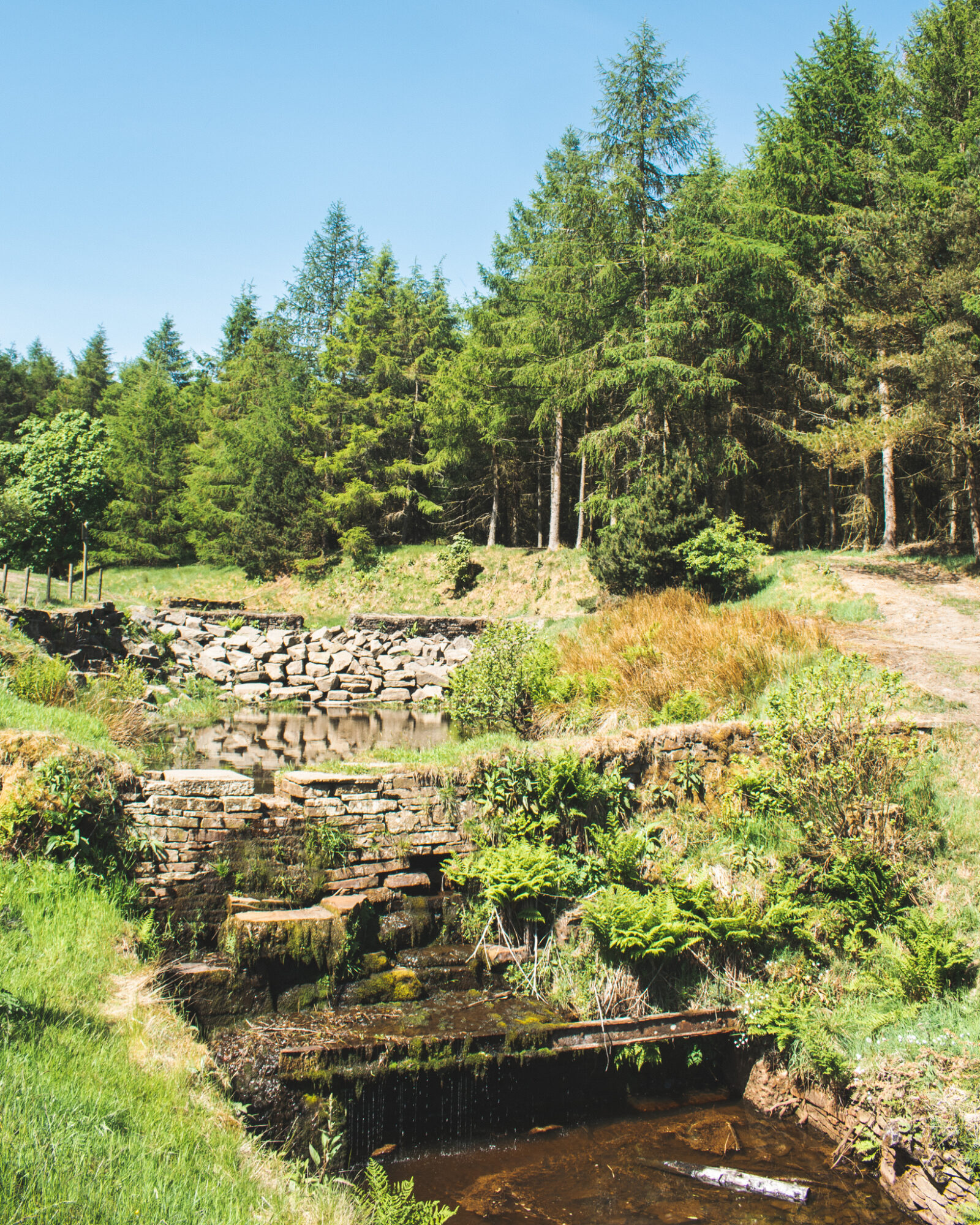 Calf Hey Reservoir (5 miles) – Lancashire Lad