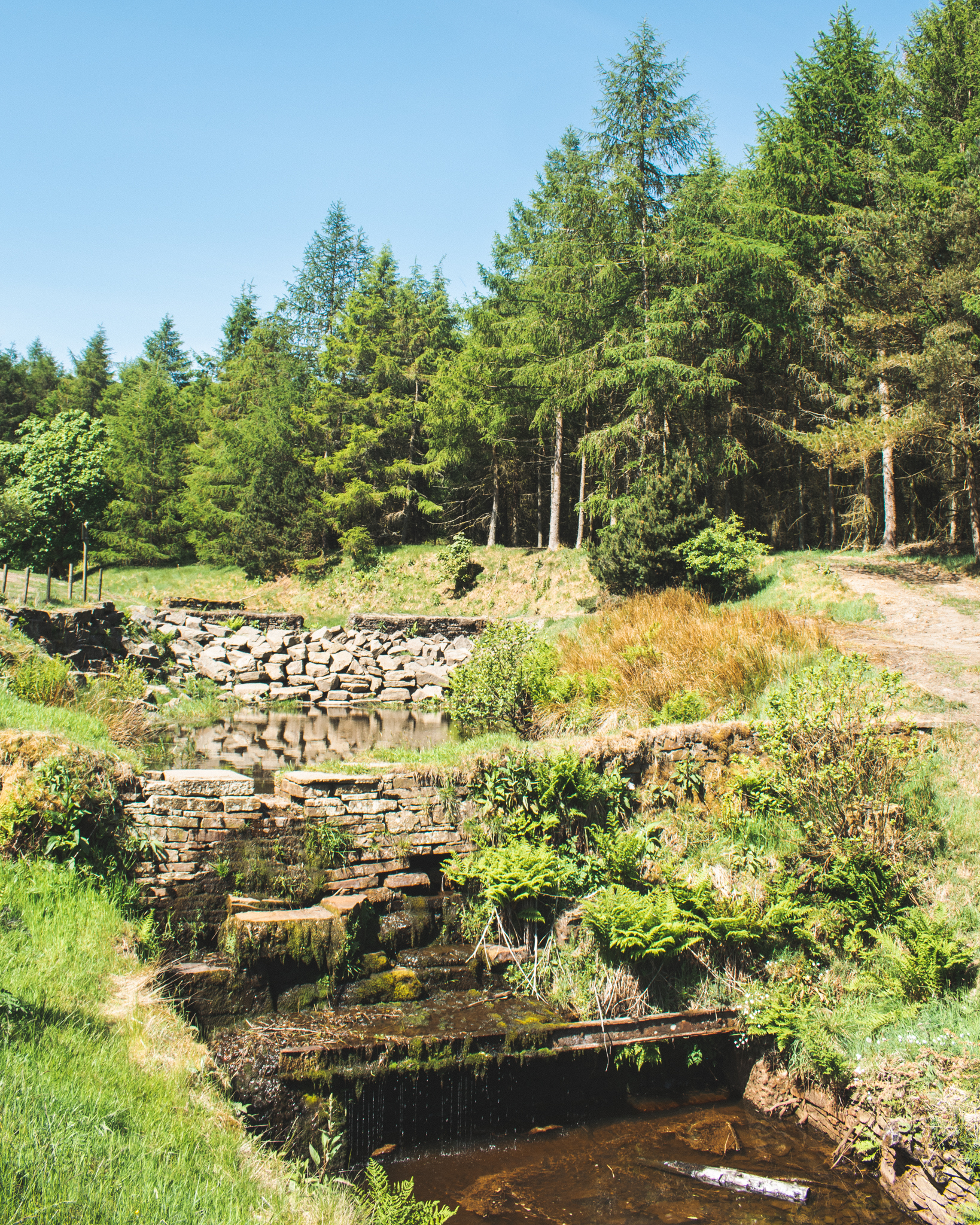 Calf Hey Reservoir (5 miles) – Lancashire Lad