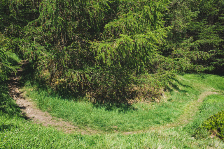 Calf Hey Reservoir (5 miles) – Lancashire Lad