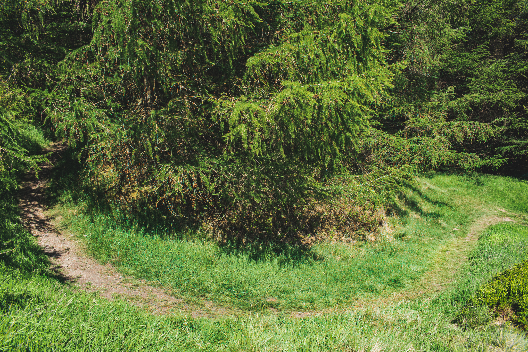 Calf Hey Reservoir (5 miles) – Lancashire Lad
