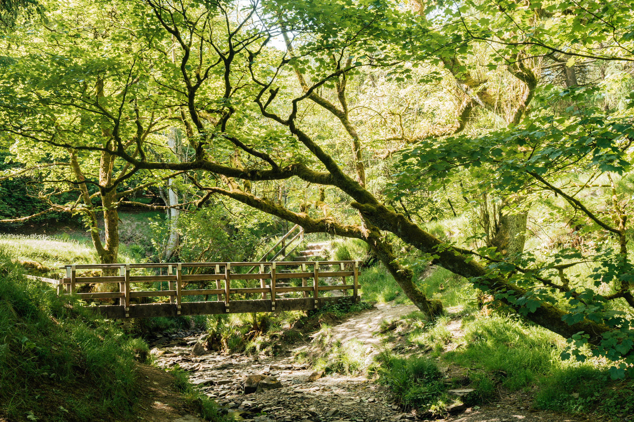 Calf Hey Reservoir (5 miles) – Lancashire Lad