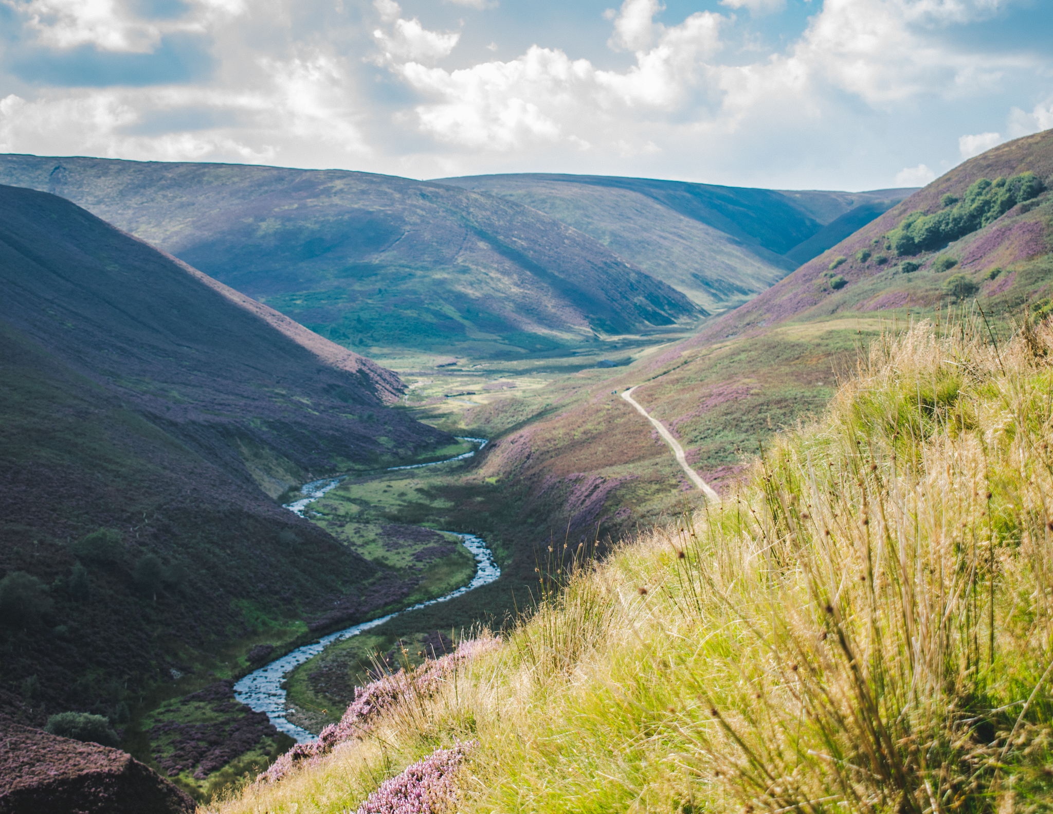 Langden Brook Valley (4 miles) – Lancashire Lad