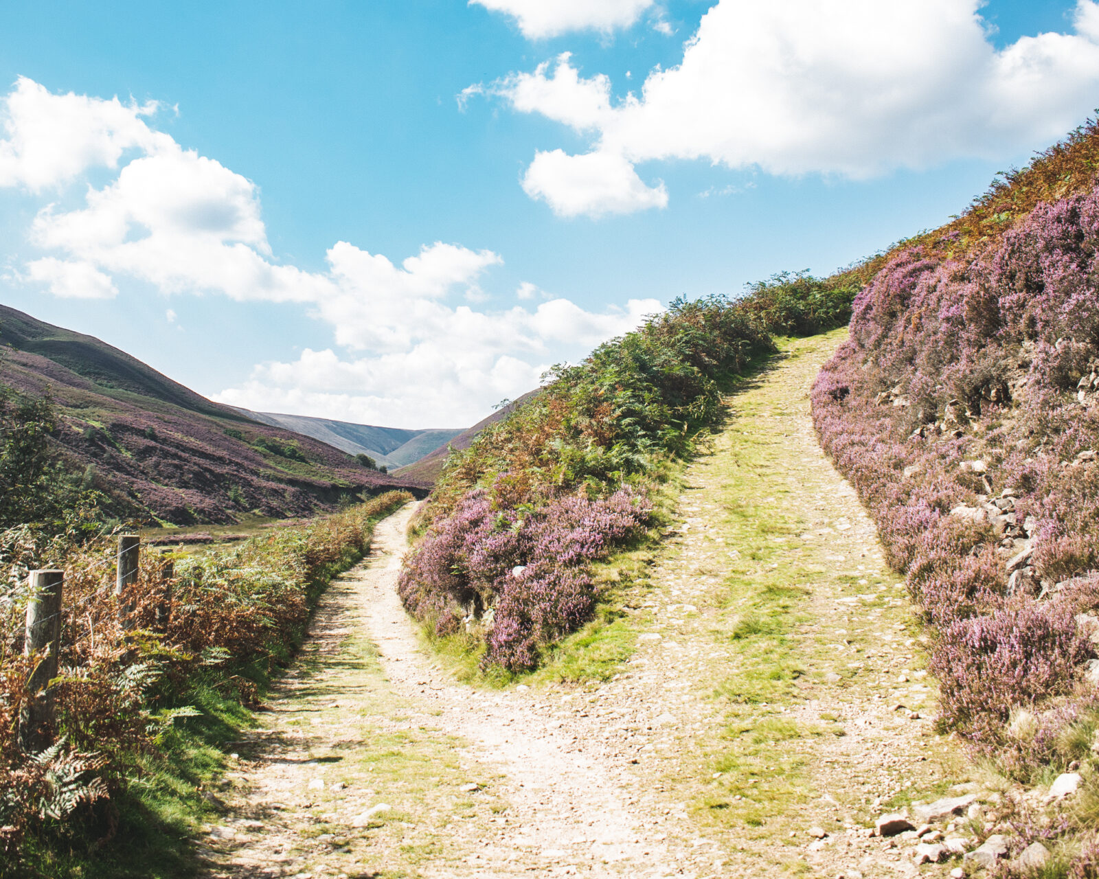 Langden Brook Valley (4 miles) – Lancashire Lad