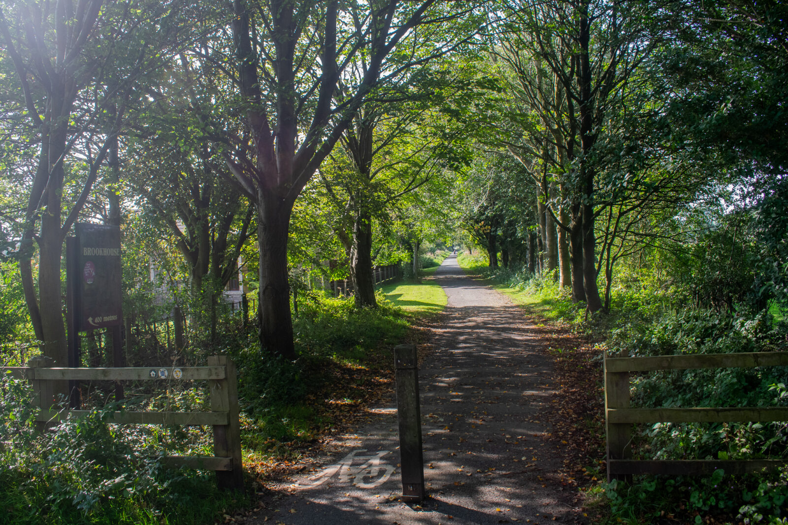 River Lune (4 miles) – Lancashire Lad
