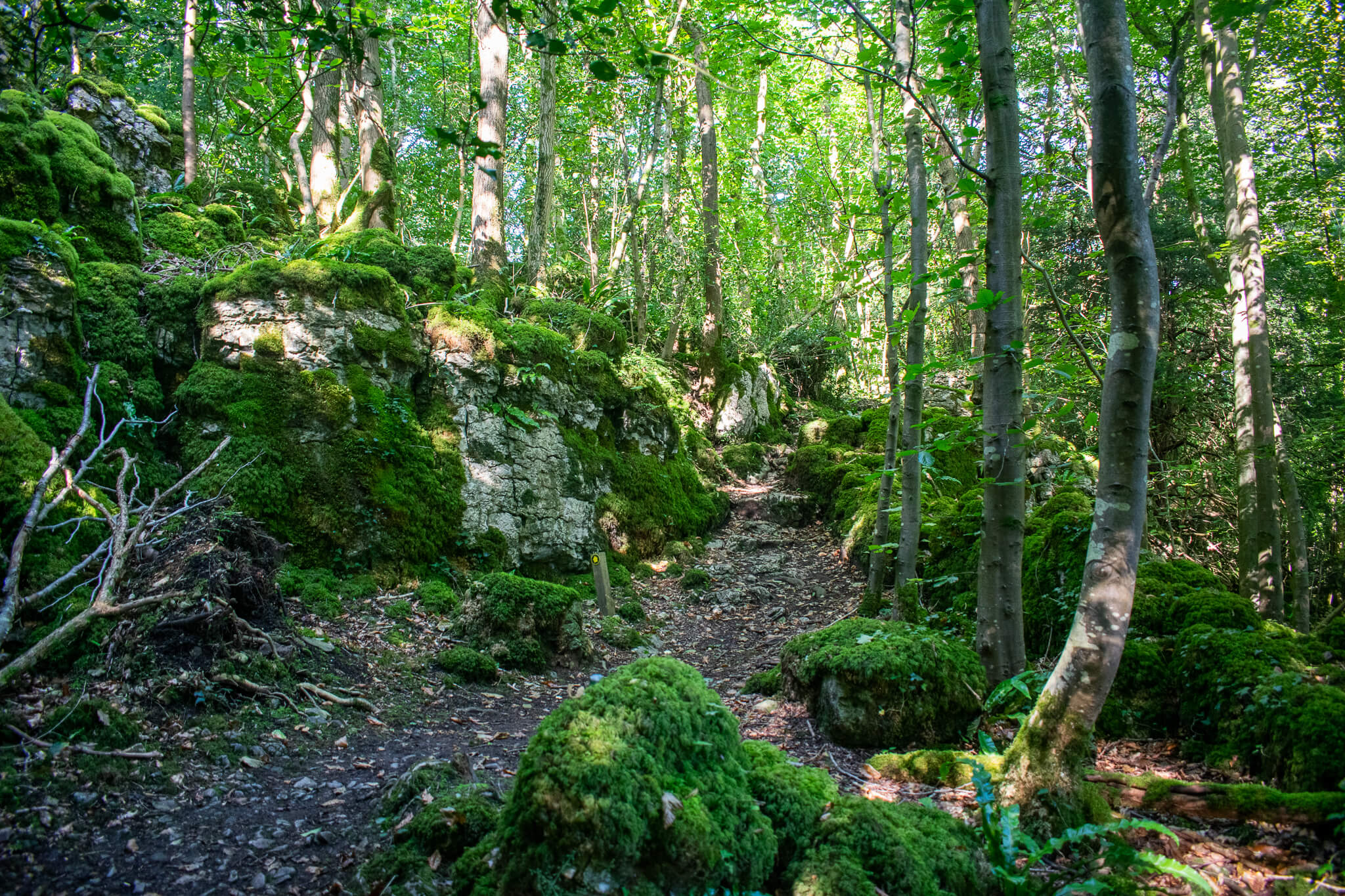 Fairy Steps 6 mile walk, Beetham (Cumbria) – Lancashire Lad
