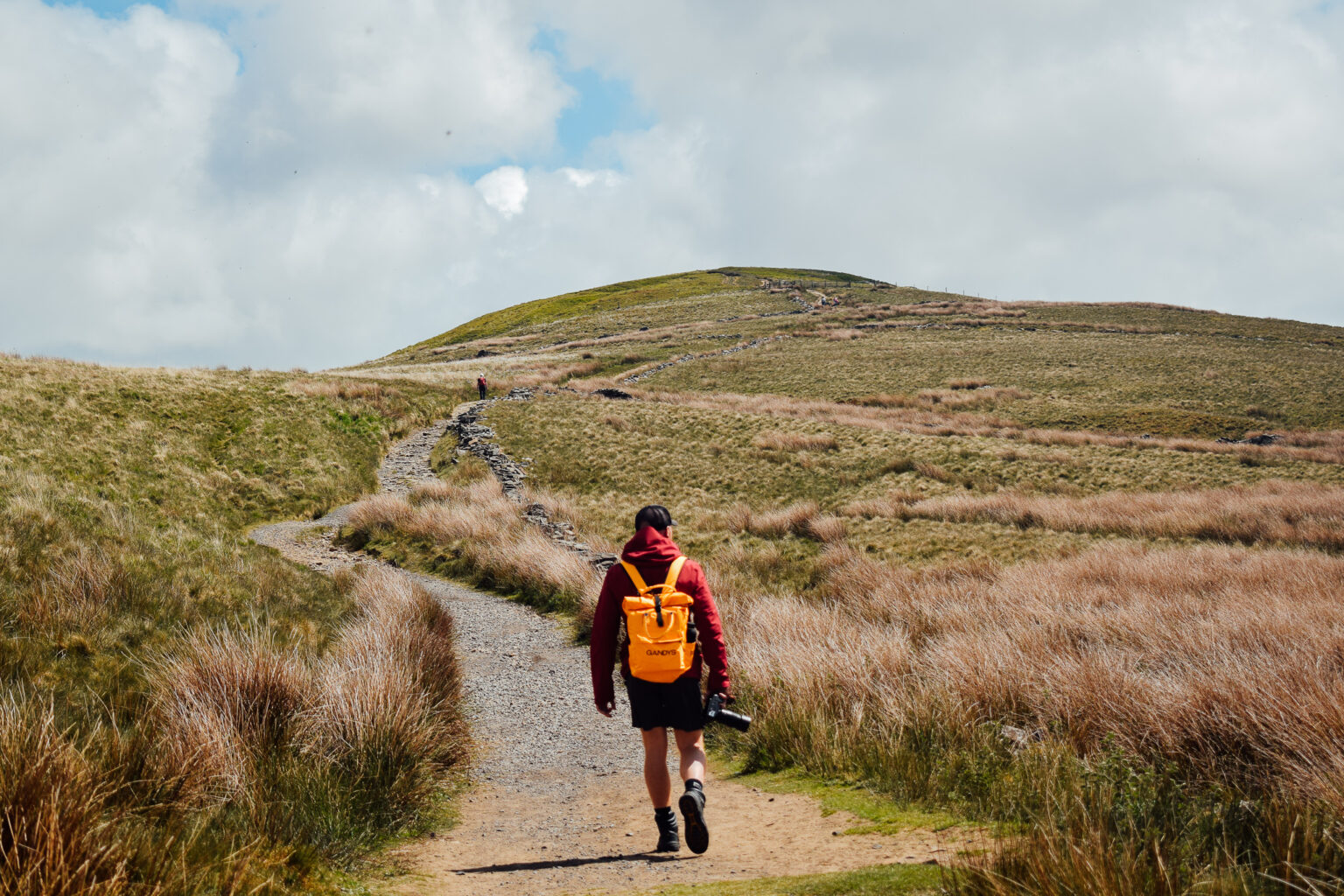 5 Stunning Bluebell Woodland Walks In Lancashire – Lancashire Lad