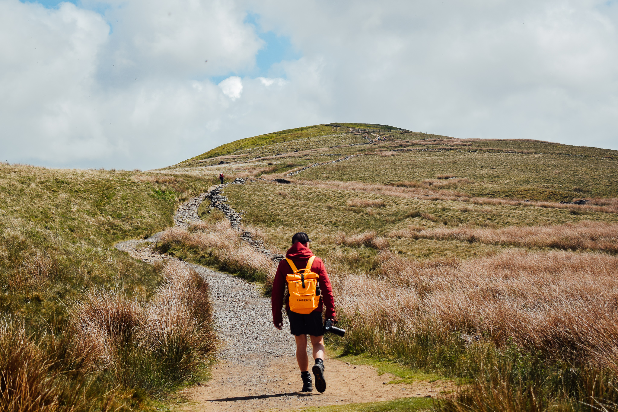 5 Stunning Bluebell Woodland Walks In Lancashire – Lancashire Lad